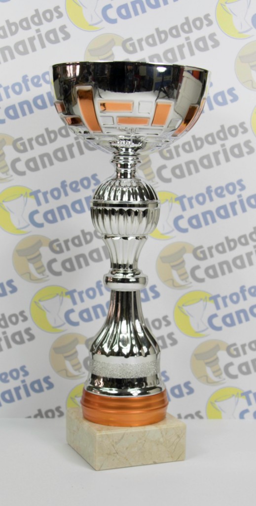 Copa Naranja Plateada - Trofeos Canarias